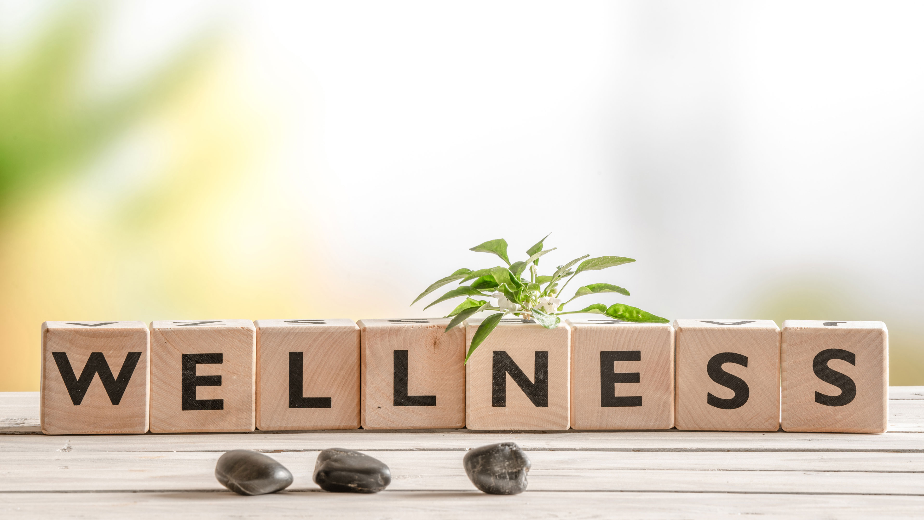 Wellness and Your Team Members - Raving